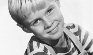 Jay North Net Worth: Unveiling the Wealth of the American Actor ...